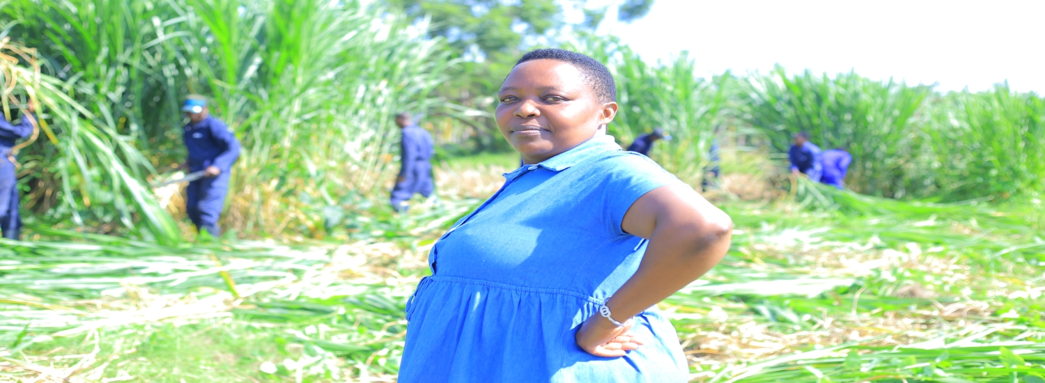 Home - Technical and Vocational Education and Training